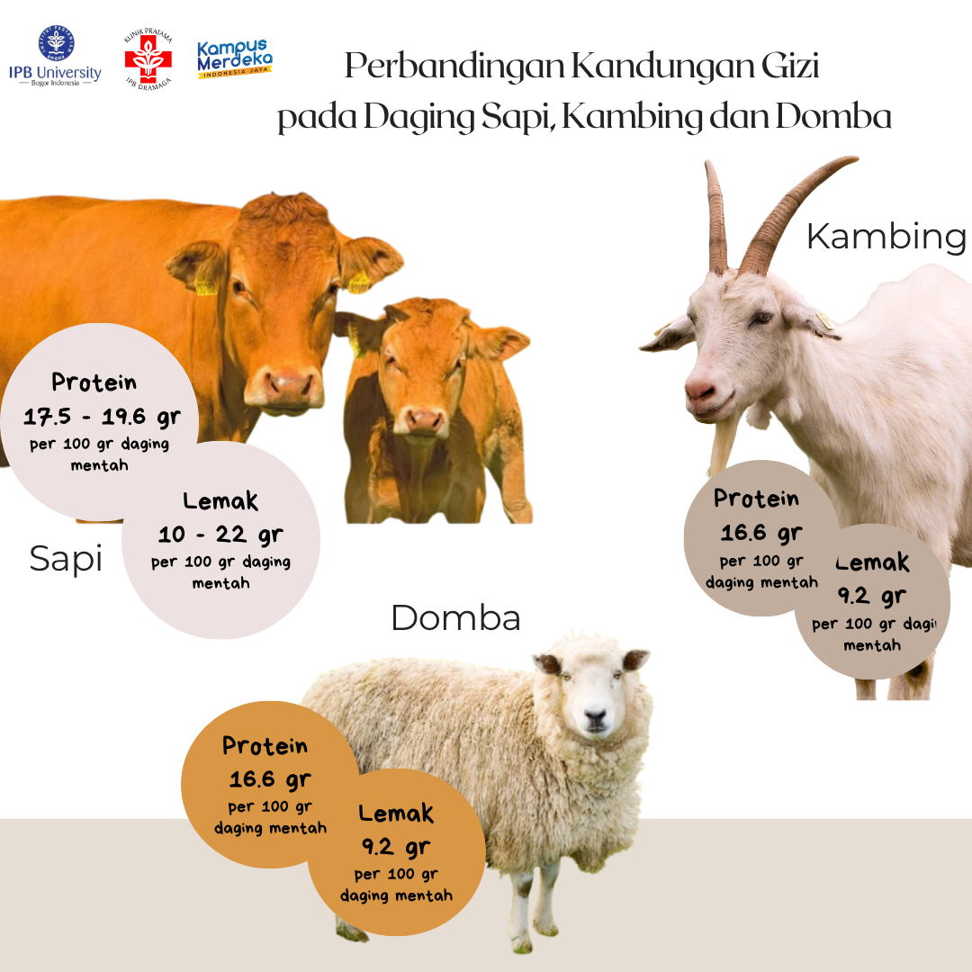 Kandungan Gizi dan Tips Sehat Selama Idul Adha - Unit Kesehatan